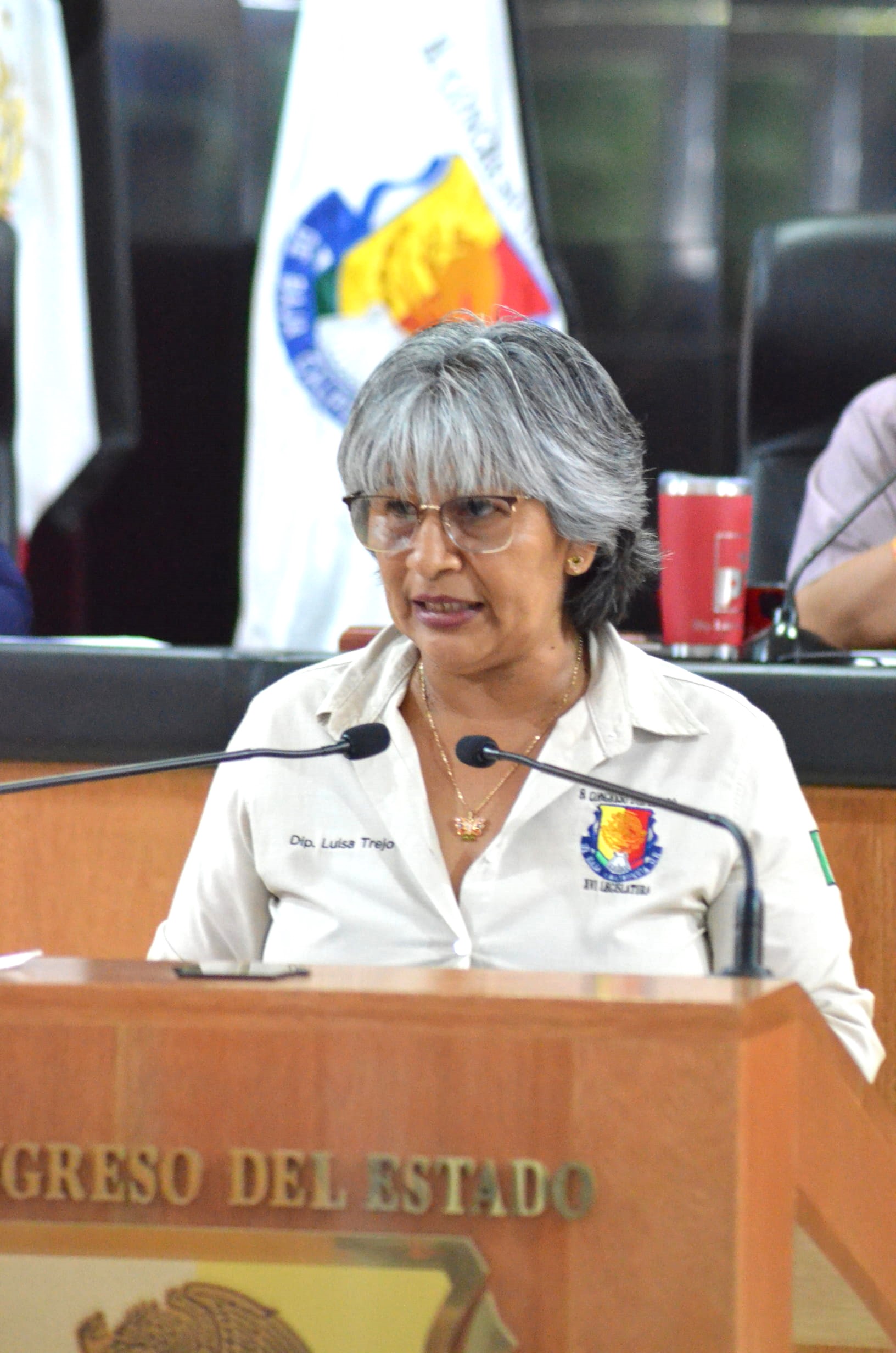 Reconoce La Diputada María Luisa Trejo Los Resultados De Los Centros De ...